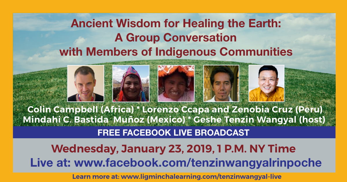 Ancient Wisdom for Healing the Earth: A Group Conversation with Members ...